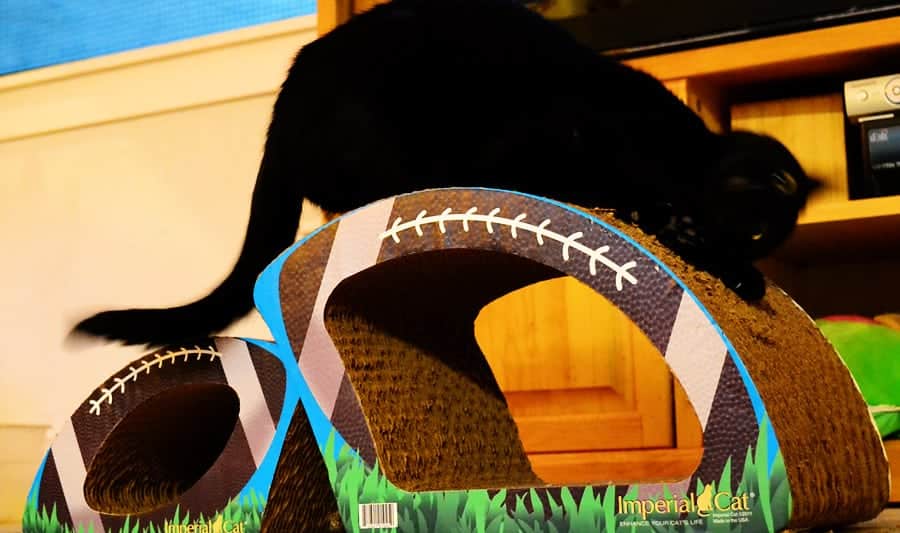Review: Imperial Cat Football Scratch 'n Shapes
