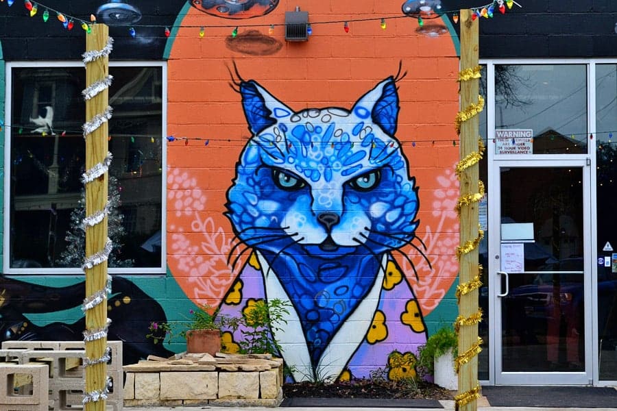 The Beautiful Cat Artwork of Austin's Blue Cat Cafe