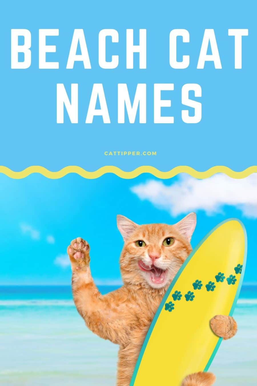 330 Beach Cat Names Including Summer Water Ocean Names 330 Beach Cat Names Including Summer Water Ocean Names