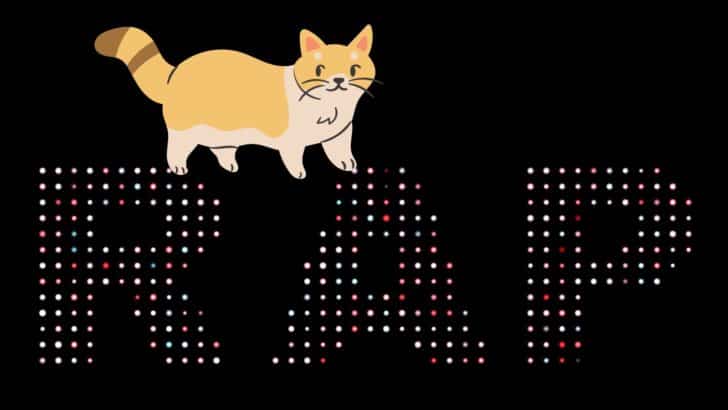 450+ Musical Cat Names {from Country to Rock to Rap}