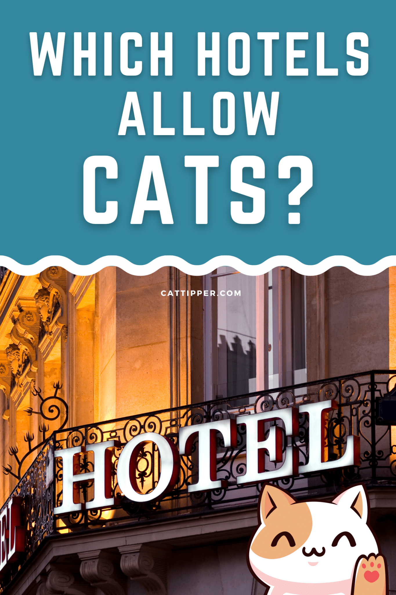 Hotels That Allow Cats {+ the MOST Cat Friendly Hotel Chains}
