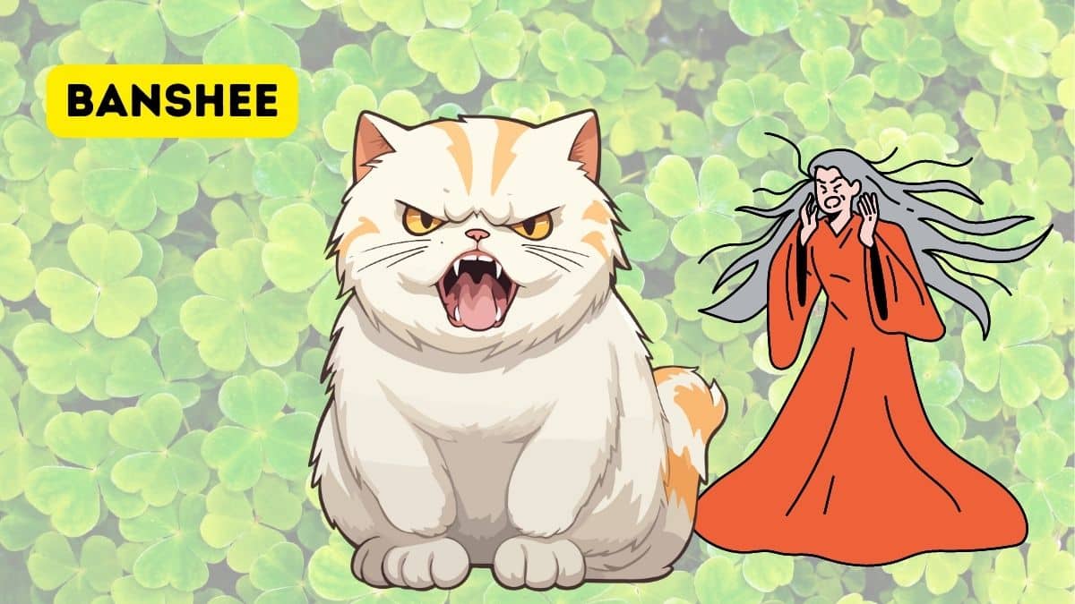 160 Irish Cat Names: Celtic Names from the Emerald Isle