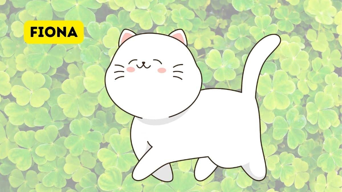 160 Irish Cat Names: Celtic Names from the Emerald Isle