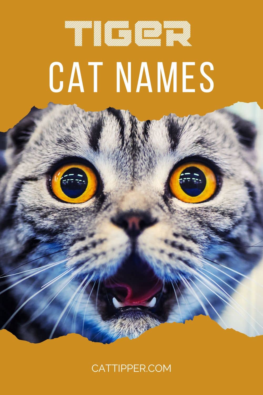 130+ Tiger Names for Cats with Stripes