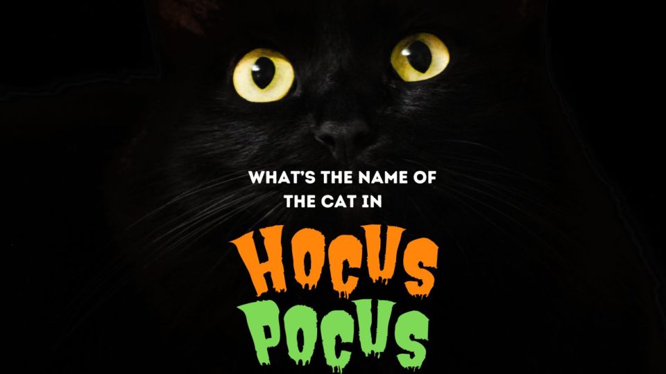 What is the Name of Cat in Hocus Pocus? (TWO Answers!)