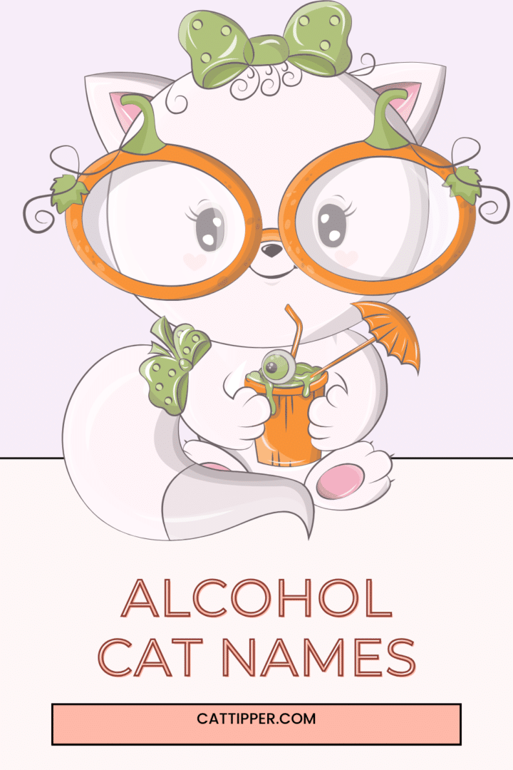 275 Alcohol Cat Names for Your Spirited Kitty