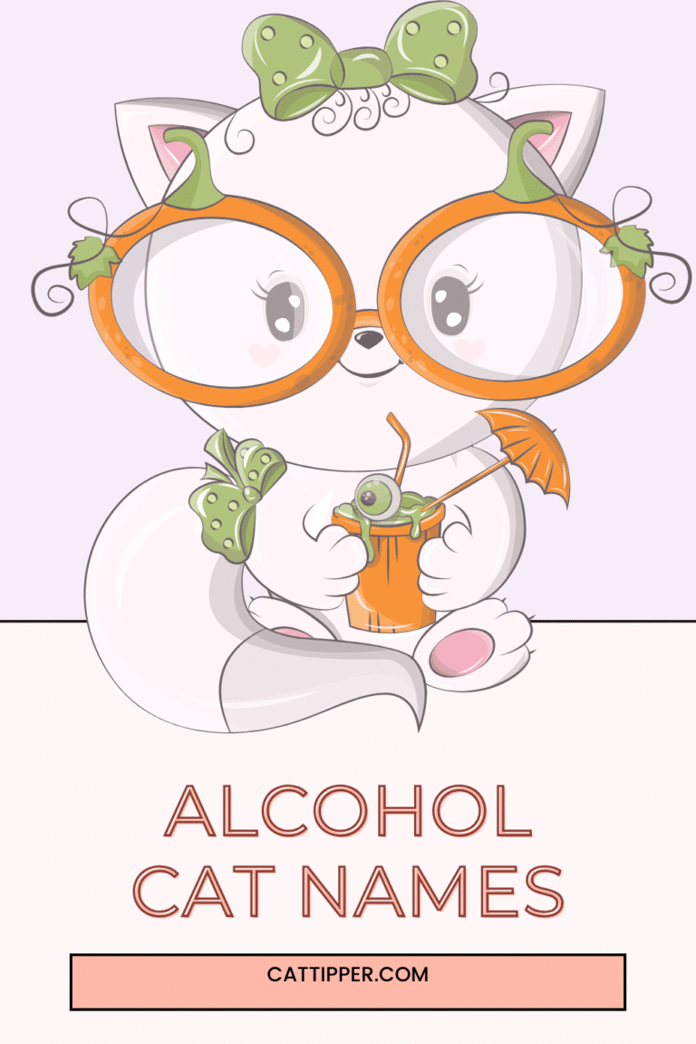 275 Alcohol Cat Names for Your Spirited Kitty