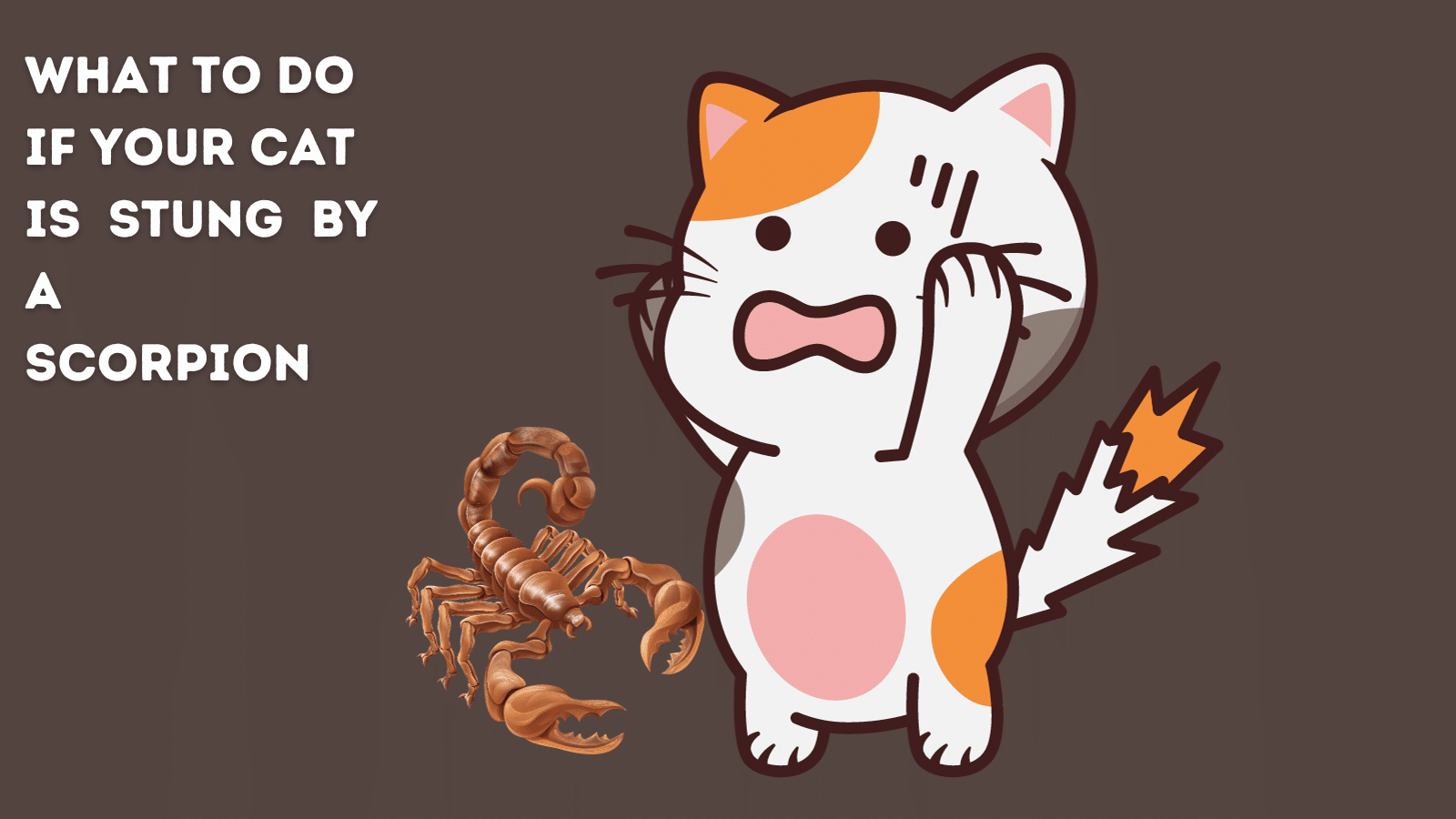 Cats and Scorpions: Protecting Your Cat from a Scorpion Sting