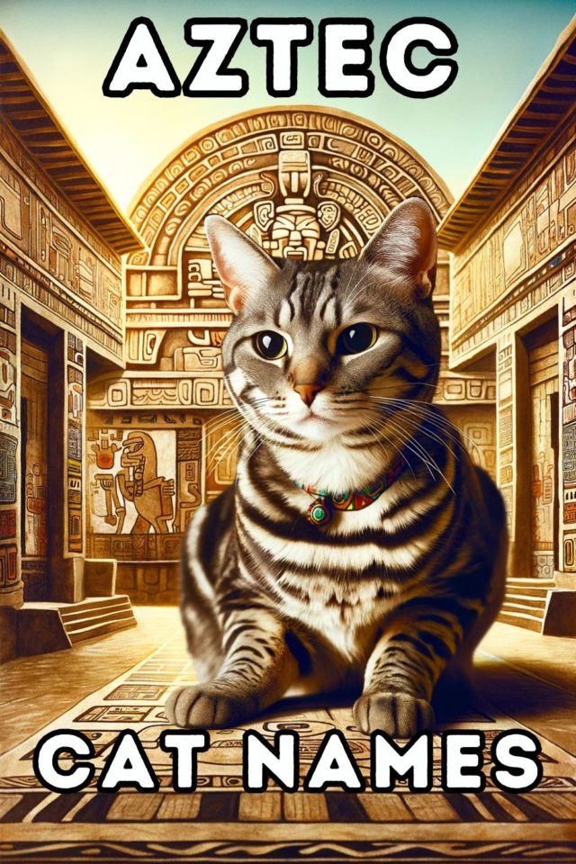 120 Aztec Cat Names with Ancient and Mystical Meanings